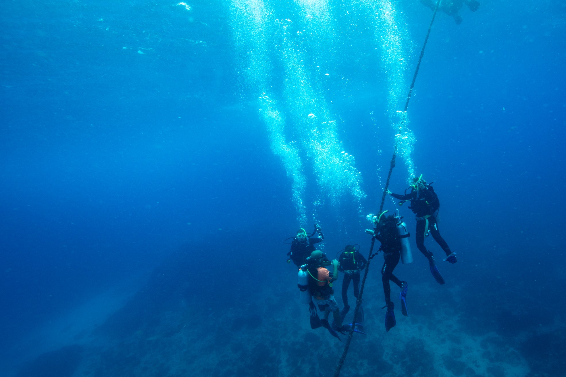 Sundive Byron Bay is Byron Bay’s only PADI 5 star Dive Centre